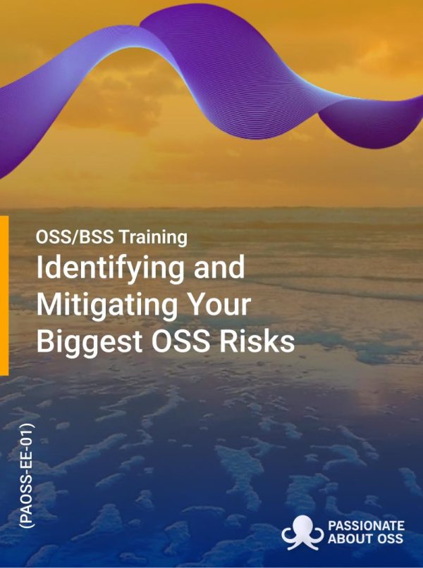 Identifying and Mitigating Your Biggest OSS Risks (PAOSS-EE-01) – Passionate About OSS and BSS